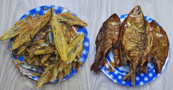 Bonga Fish – The online cook