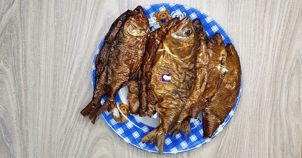 Bonga Fish – The online cook