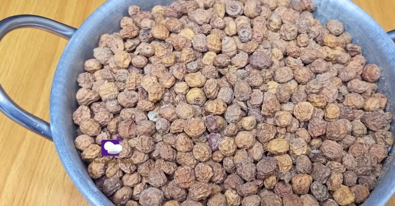 How To Make Tiger Nut Milk Drink – The online cook